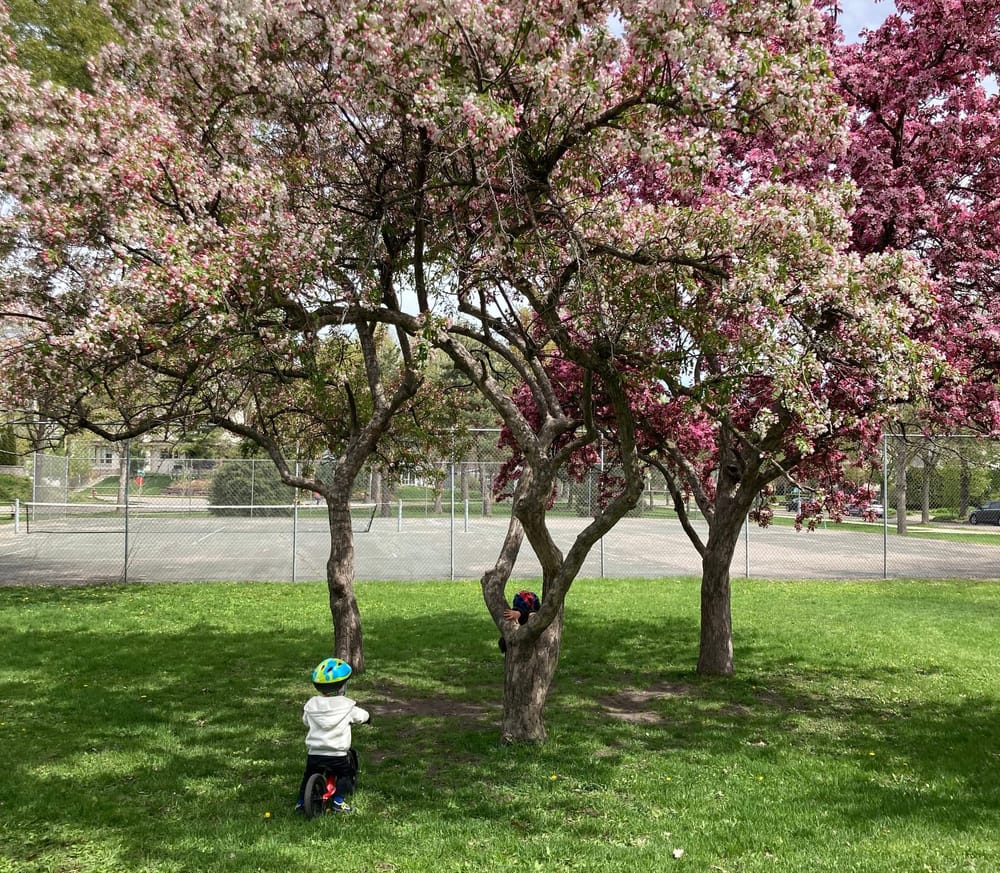 It's spring—get out!